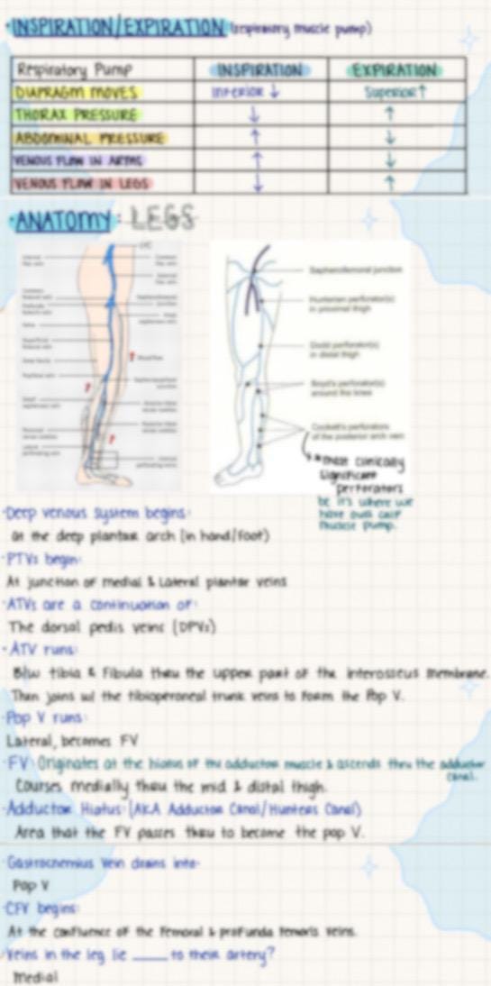 Vascular Ultrasound Review Complete Study Bundle for RVT Exam - Etsy