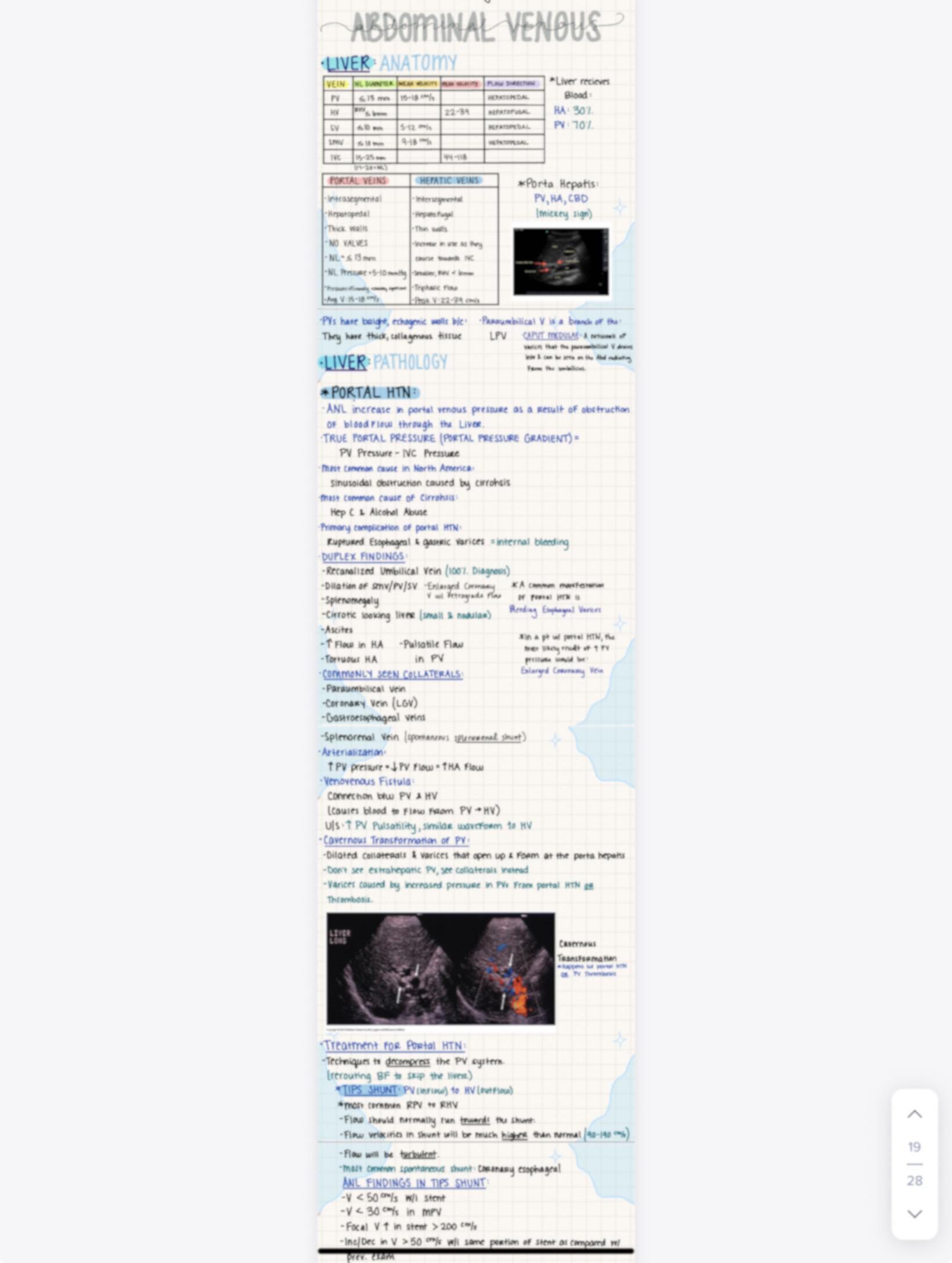Venous Vascular Ultrasound Study Guide - Etsy