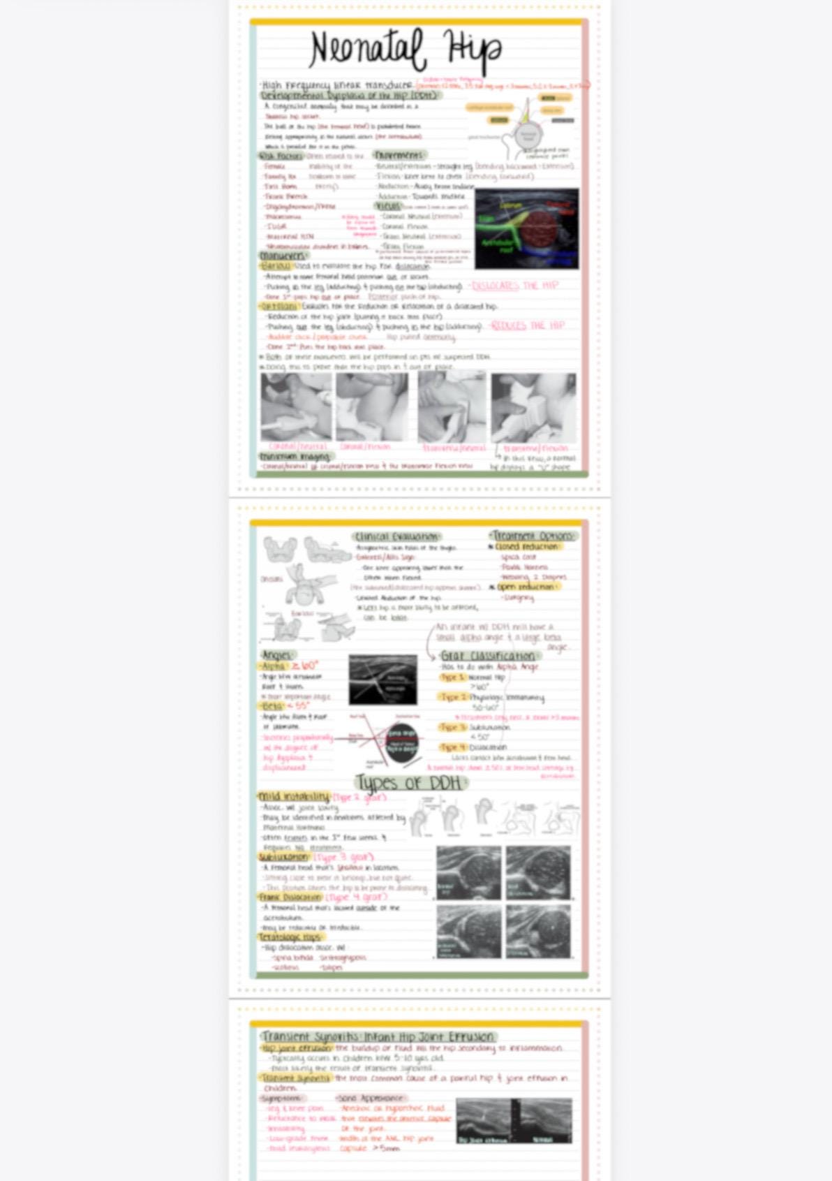 ARDMS Abdomen Board Complete Study Bundle - Etsy
