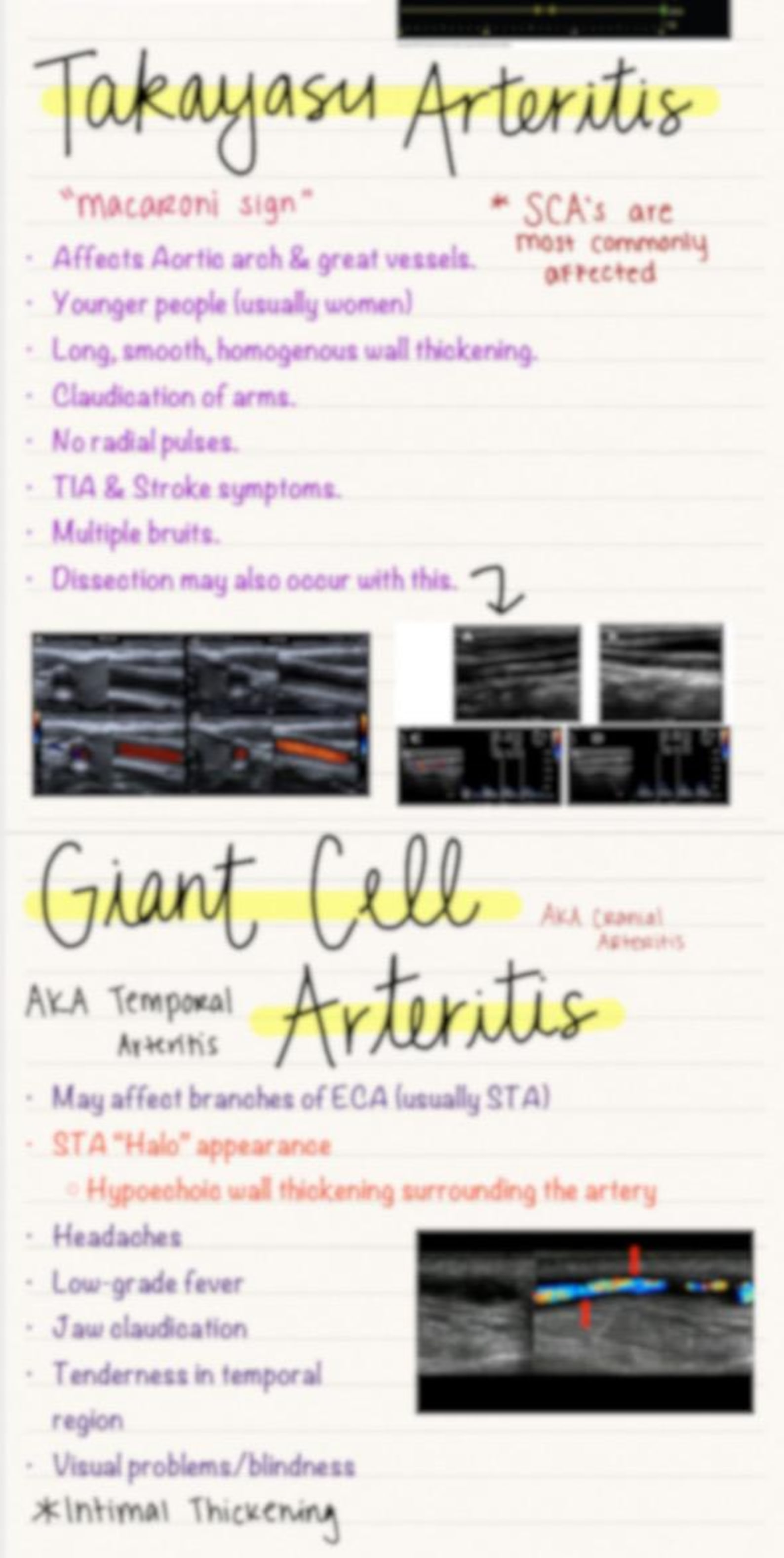 Vascular Ultrasound Review Complete Study Bundle for RVT Exam - Etsy
