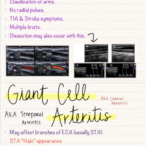 Vascular Ultrasound Review Complete Study Bundle for RVT Exam - Etsy