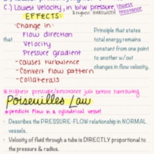 Vascular Ultrasound Review Complete Study Bundle for RVT Exam - Etsy