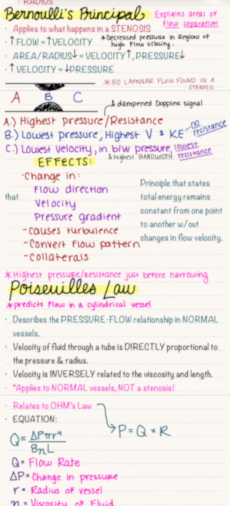 Vascular Ultrasound Review Complete Study Bundle for RVT Exam - Etsy