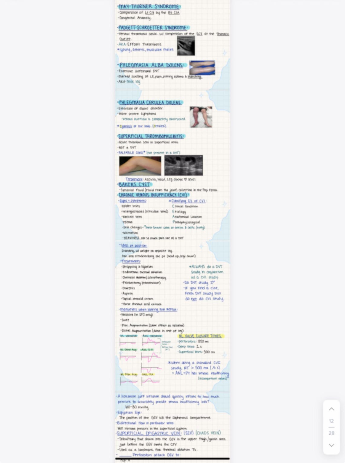 Venous Vascular Ultrasound Study Guide - Etsy
