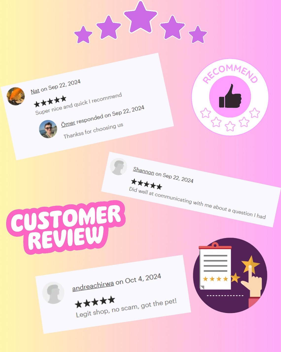 Mega Fly Ride MFR Mini Pig Adopt Me Pets - Etsy