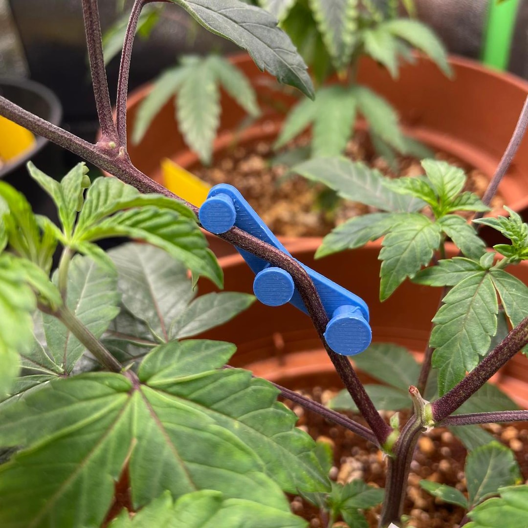 20x LST Low Stress Training Clips Plant Trainer, 2 Different Sizes, 4 ...