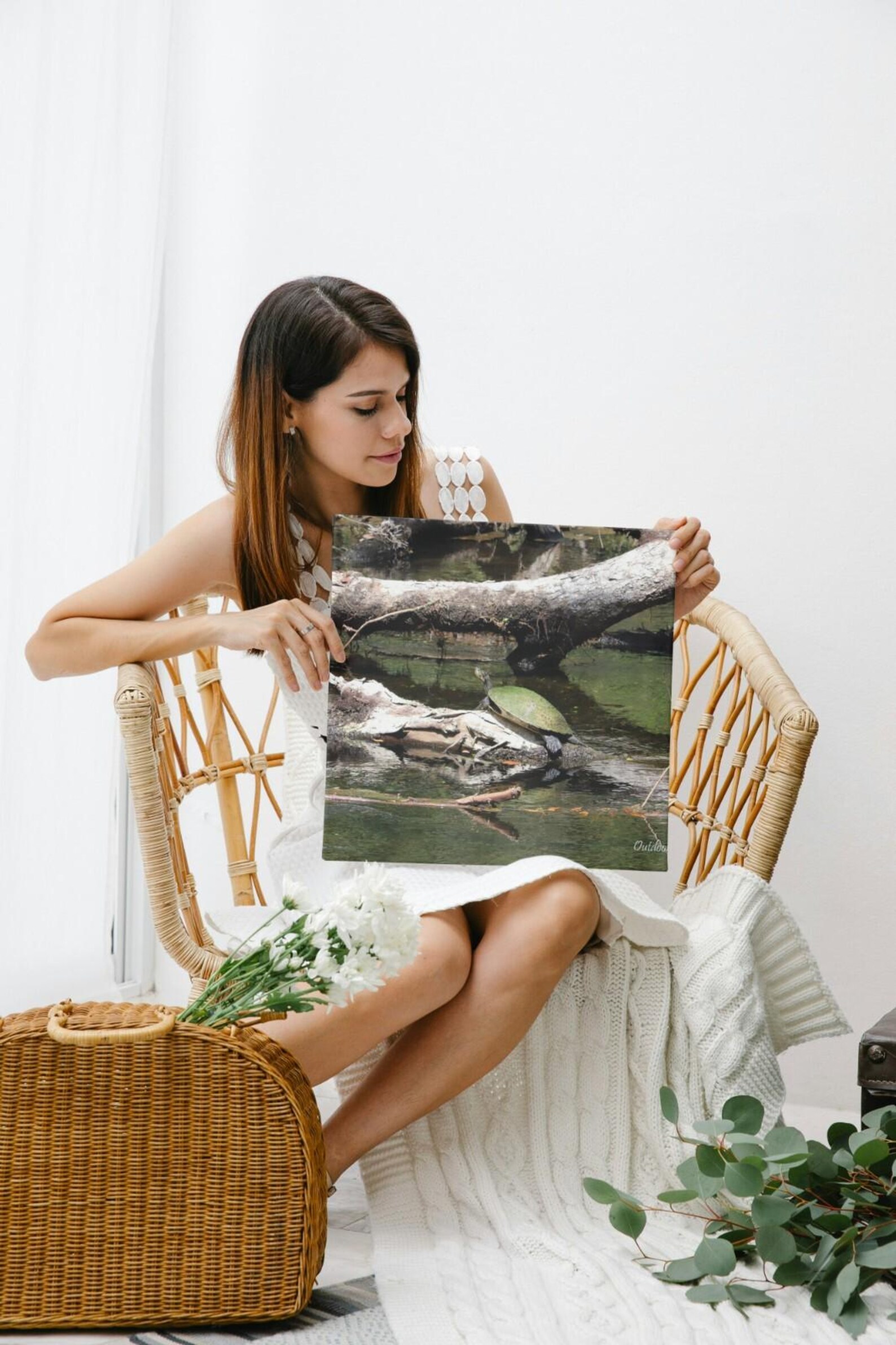 Suwannee Cooter Turtle, Suwannee River Florida, Nature, Digital Photography, Instant Download ...