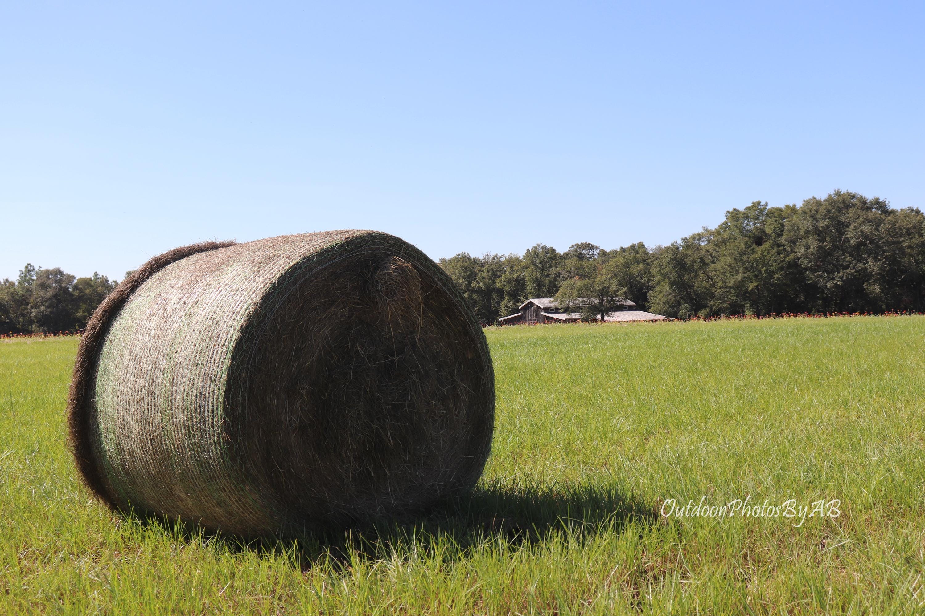 Round Hay Bale, Farm, Field, Scenic, Barn, Flowers, Autumn, Wall Art ...