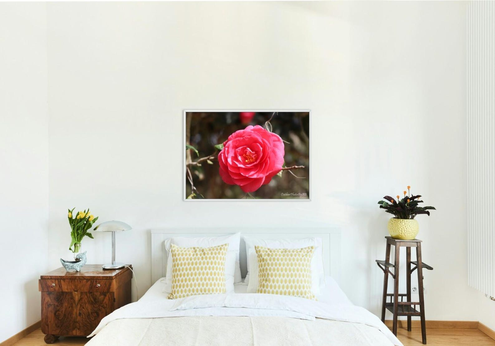 Red Camellia, Maclay Gardens State Park, Tallahassee, Florida, Flowers ...