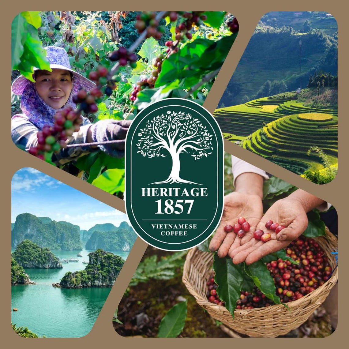 Heritage 1857 Vietnamese Coffee Sample Pack: Salted, 3-in-1, or Coconut ...