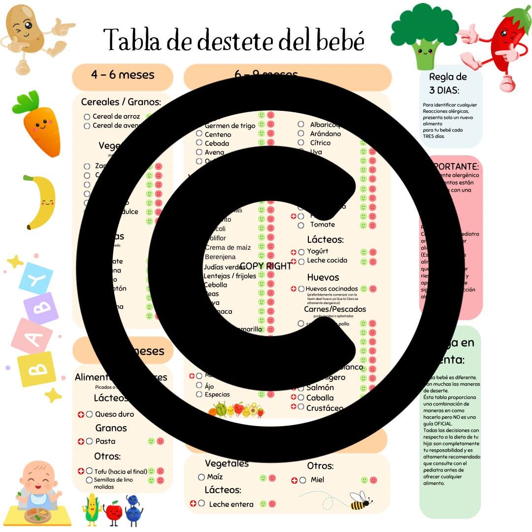 Guia De Alimentacion Para Bebes - Etsy