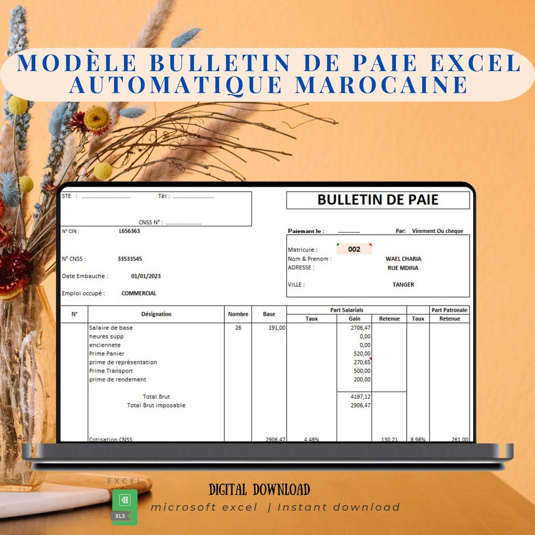 Modèle Bulletin De Paie Excel Automatique Marocaine (payroll ǀ Wage ...