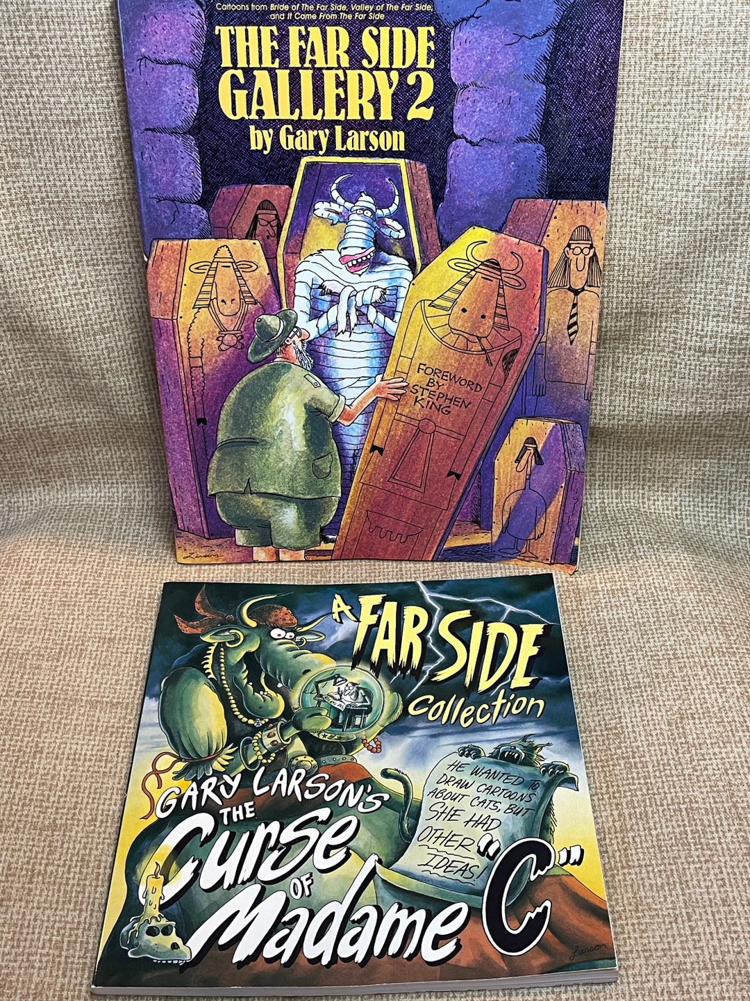 Vintage 80-s90's the Far Side Books Set of 2/gary Larson/the Far Side ...