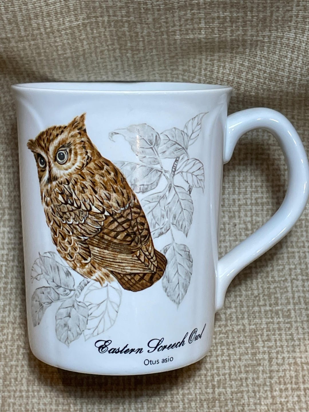 Vintage Otagiri Eastern Screech Owl by Otus Asio Coffee Mug/gibson ...