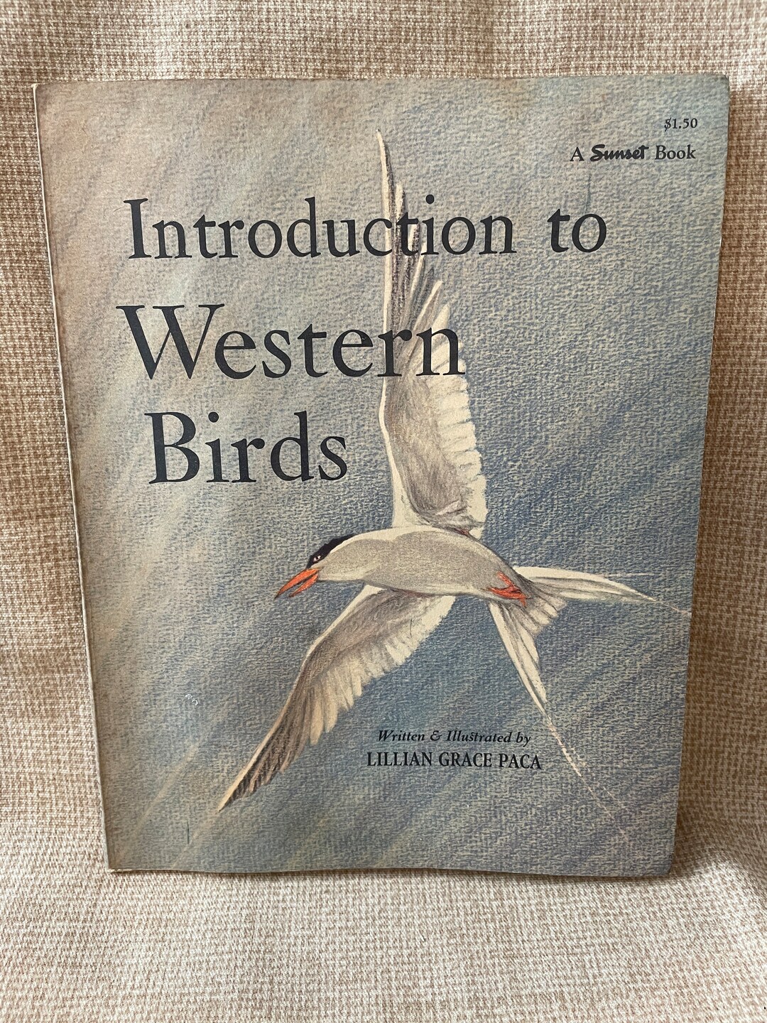 Vintage First Edition 1953 Introduction to Western Birds/sunset Book ...