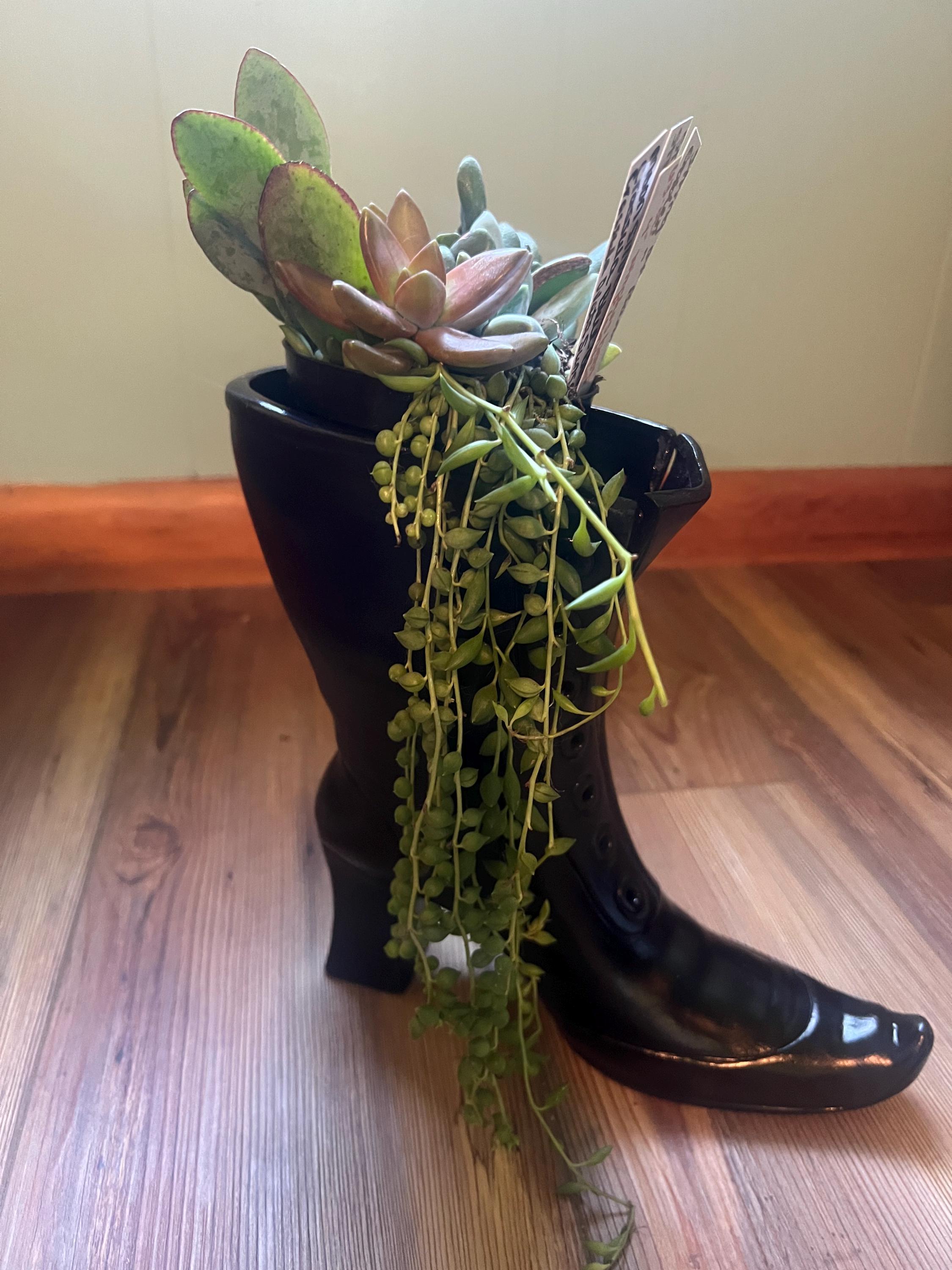 Ceramic Witches Boot, Succulent Arrangement - Etsy