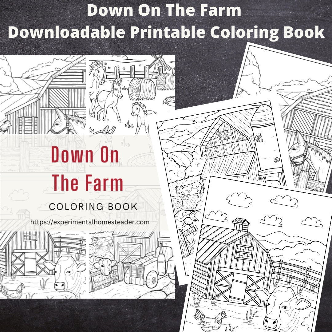 Down on the Farm Printable Downloadable Coloring Book - Etsy