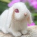 Lop Eared Bunny Needle Felted Rabbit, White Albino, Luxury Pet - Etsy