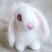 Lop Eared Bunny Needle Felted Rabbit, White Albino, Luxury Pet - Etsy