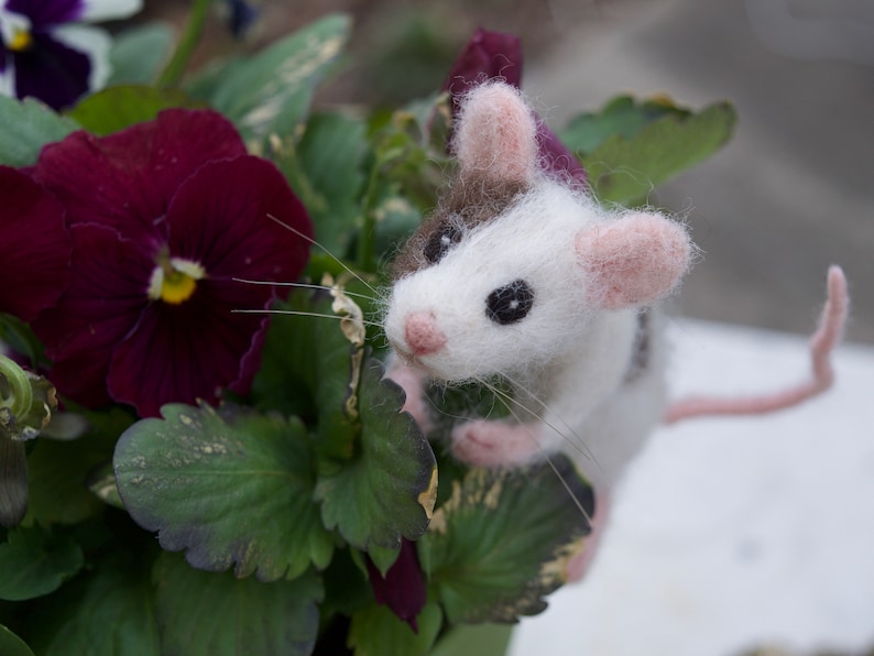 Needle Felted Pet Mouse, Custom Poseable Realistic Life Sized - Etsy