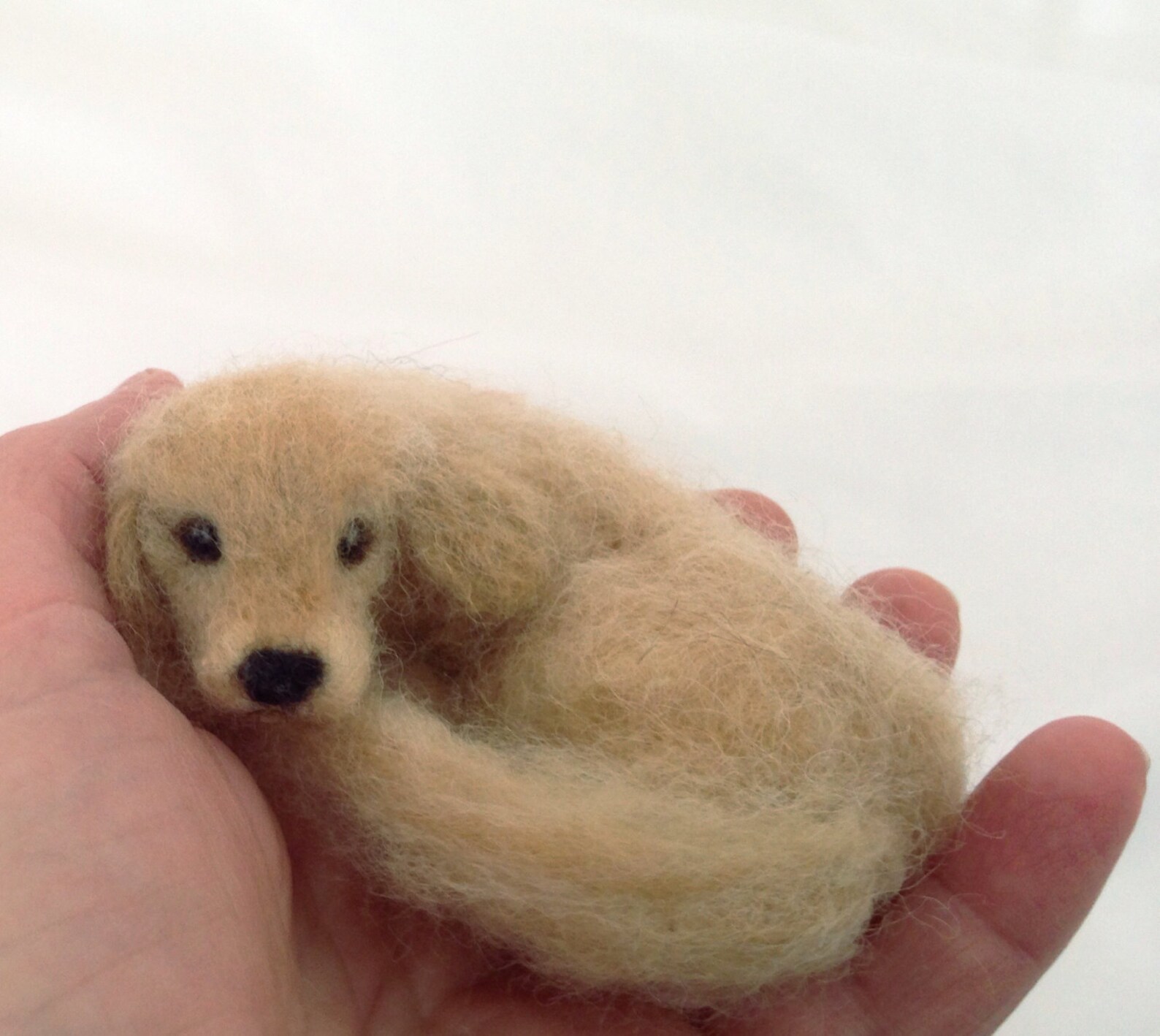 Needle Felted Golden Labrador Retriever Puppy Dog Curled Up - Etsy