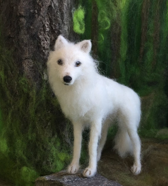 Arctic Wolf With Blue Eyes
