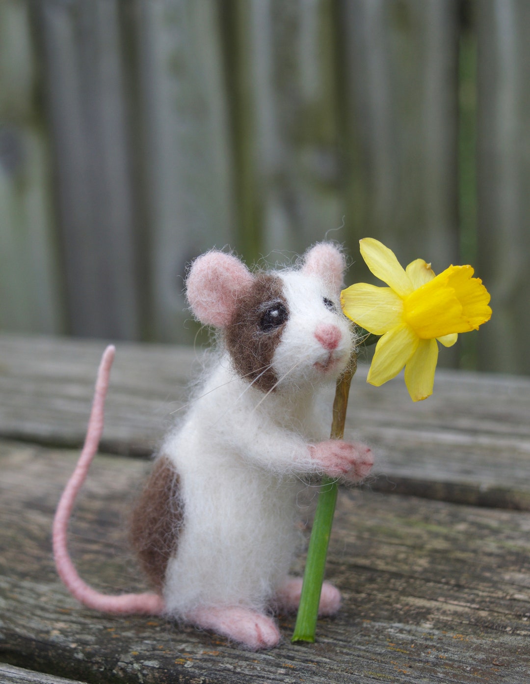 Needle Felted Pet Mouse, Custom Poseable Realistic Life Sized - Etsy