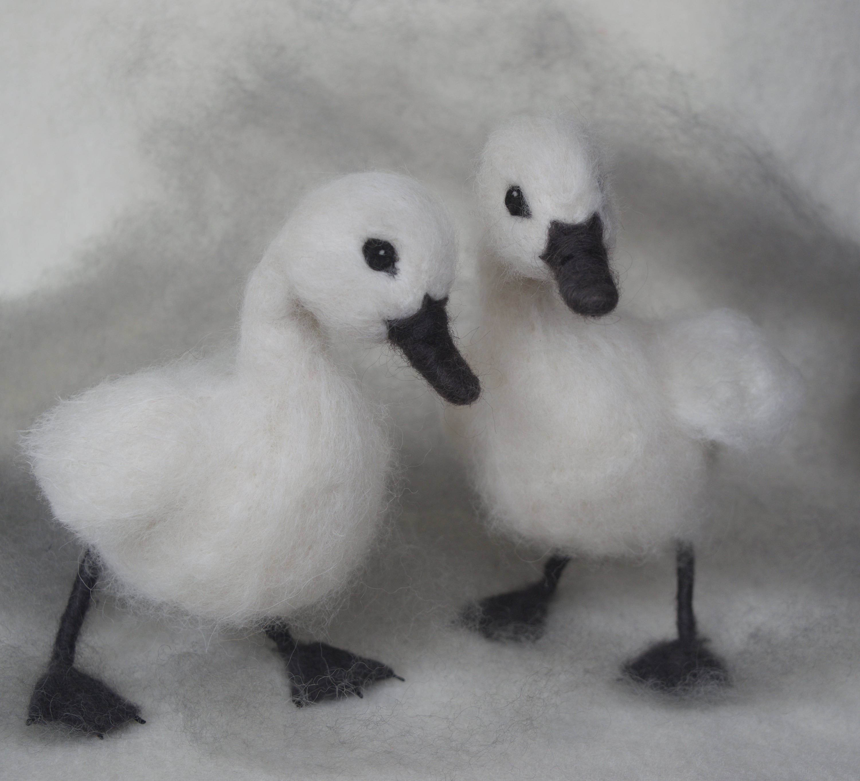 Needle Felted Baby Swan Cygnet Life Sized Wool Swan - Etsy Australia