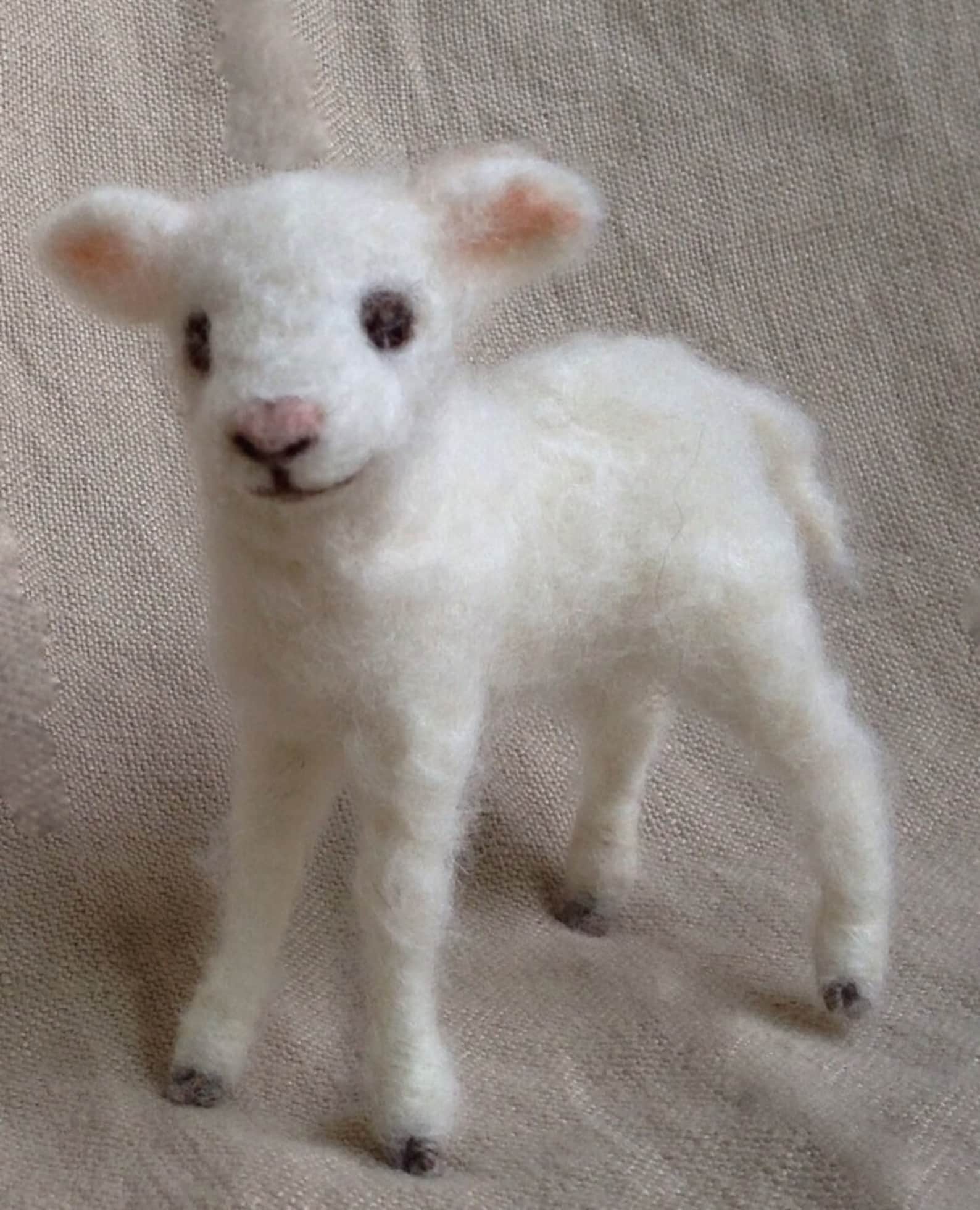 Needle Felted Lamb Baby Sheep Poseable Extended Wait - Etsy