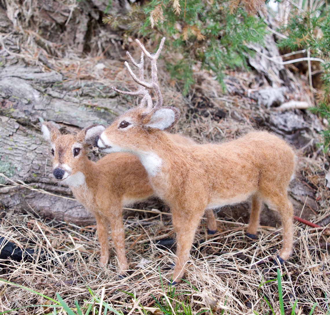 Deer Doe and Buck Needle Felted Pair, White Tailed MADE TO ORDER - Etsy
