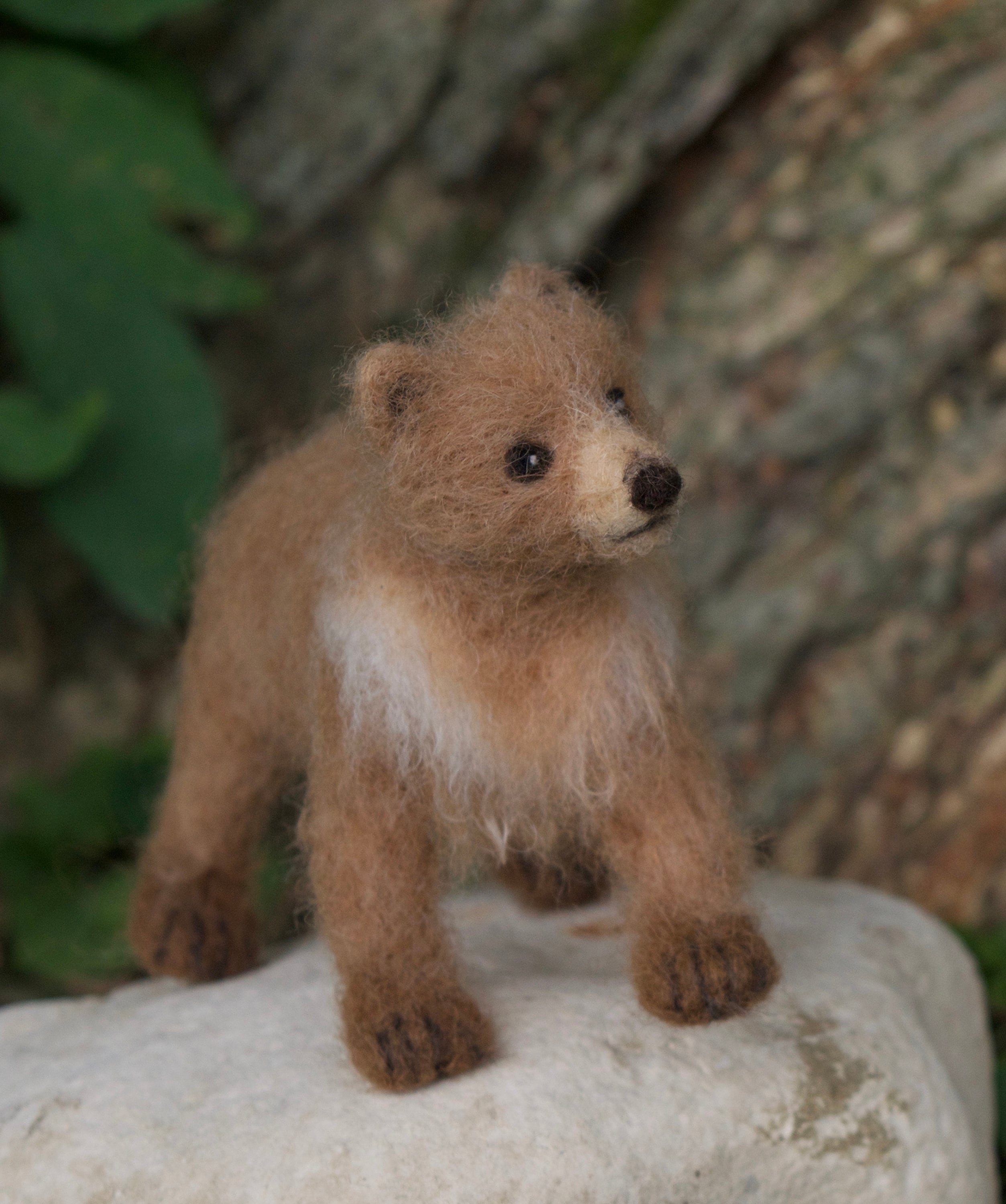Brown Bear Newborn Cubs