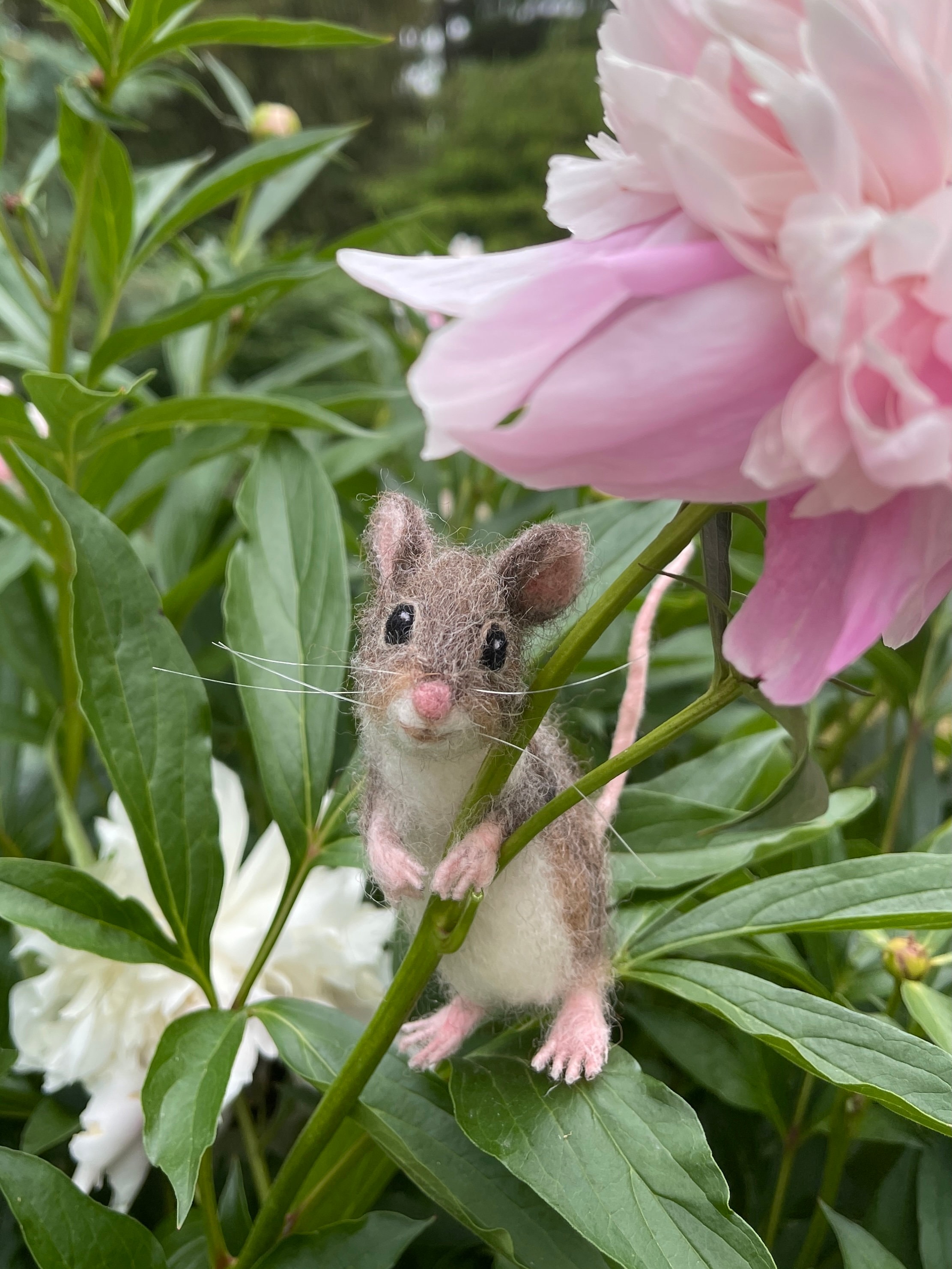 Needle Felted Mouse, Poseable Realistic Life Sized MADE TO ORDER - Etsy UK