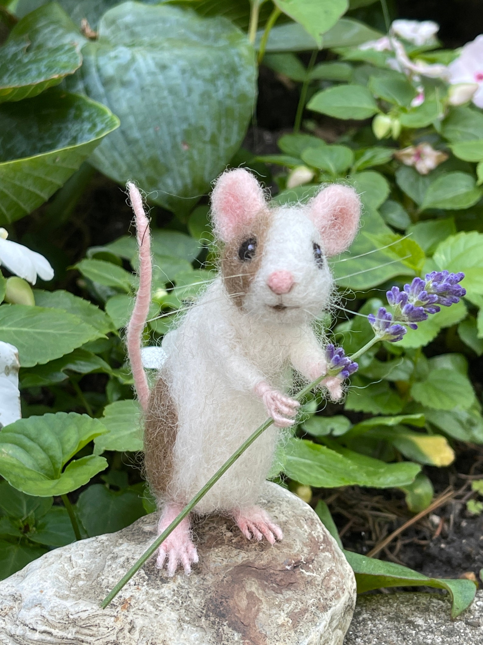 Needle Felted Pet Mouse, Custom Poseable Realistic Life Sized - Etsy