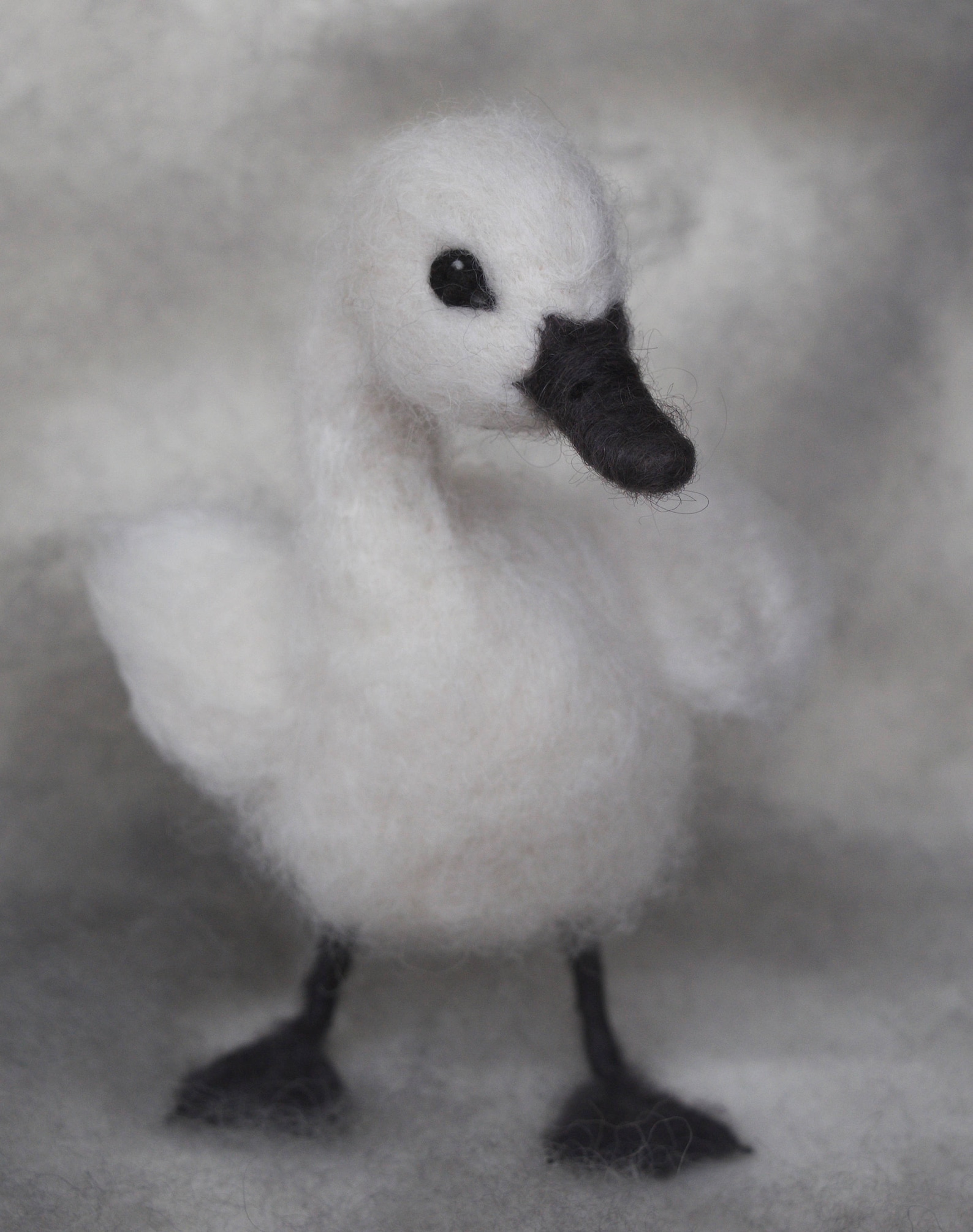 Needle Felted Baby Swan Cygnet Life Sized Wool Swan - Etsy Australia