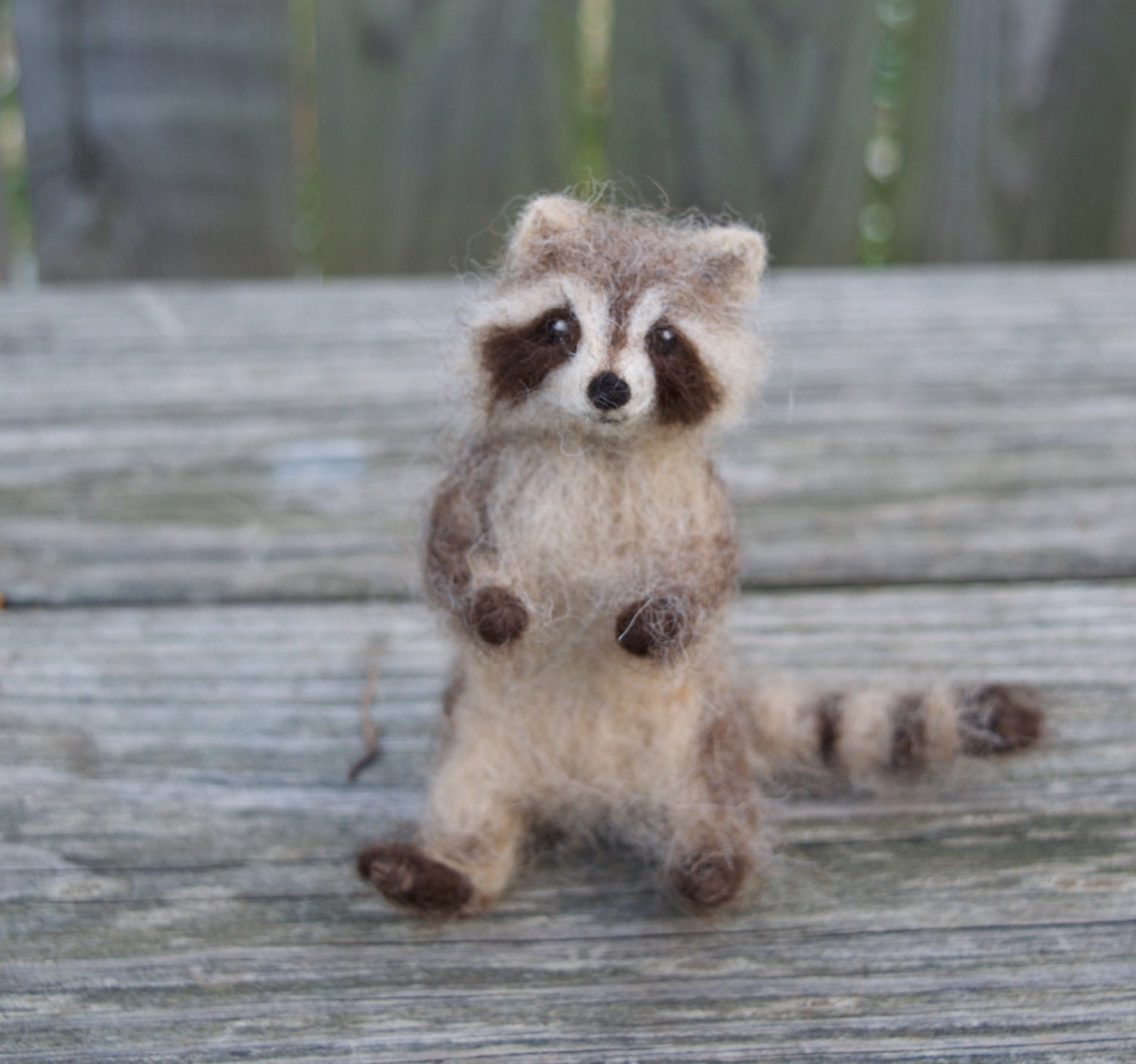 Raccoon Needle Felted Baby Woodland Baby Animal Wool Forest | Etsy