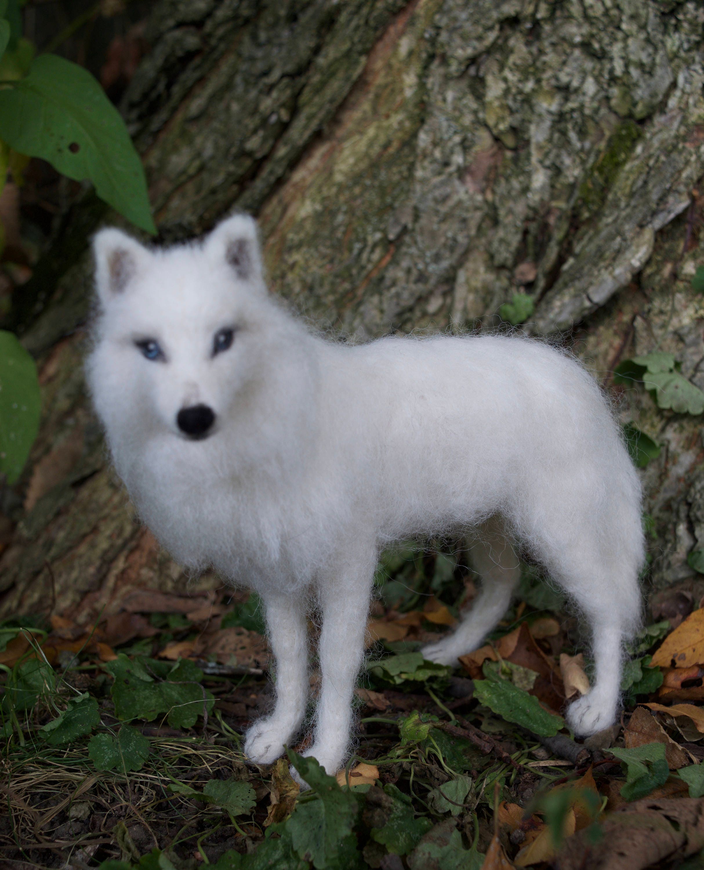 Needle Felted White Wolf Custom Original Arctic Wolf Timber - Etsy Canada