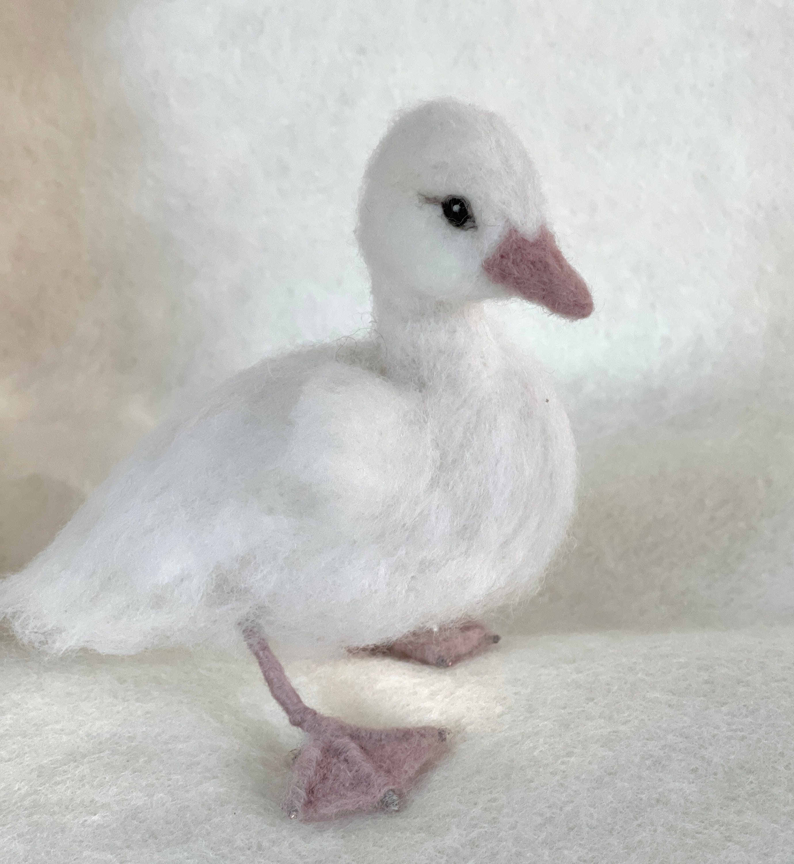Needle Felted Baby Swan Cygnet Life Sized Wool Swan - Etsy Australia