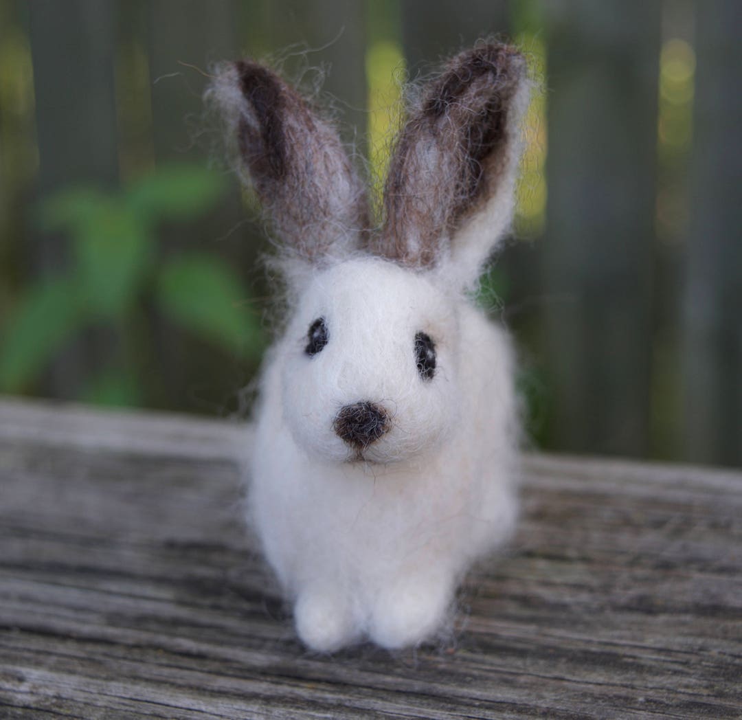 Needle Felted Arctic Hare Bunny Rabbit White - Etsy