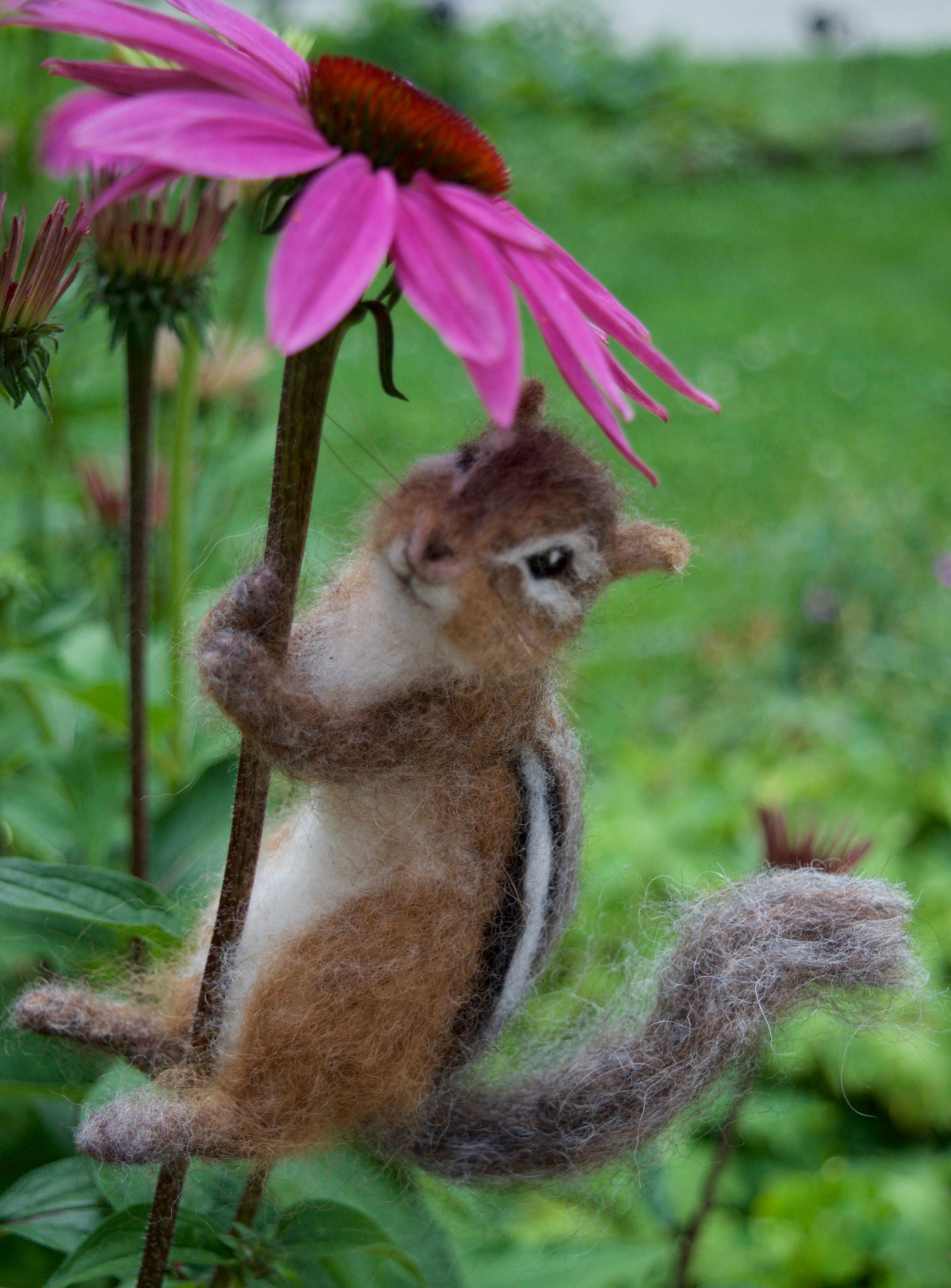 Needle Felted Chipmunk Realistic Life Sized Poseable | Etsy Canada