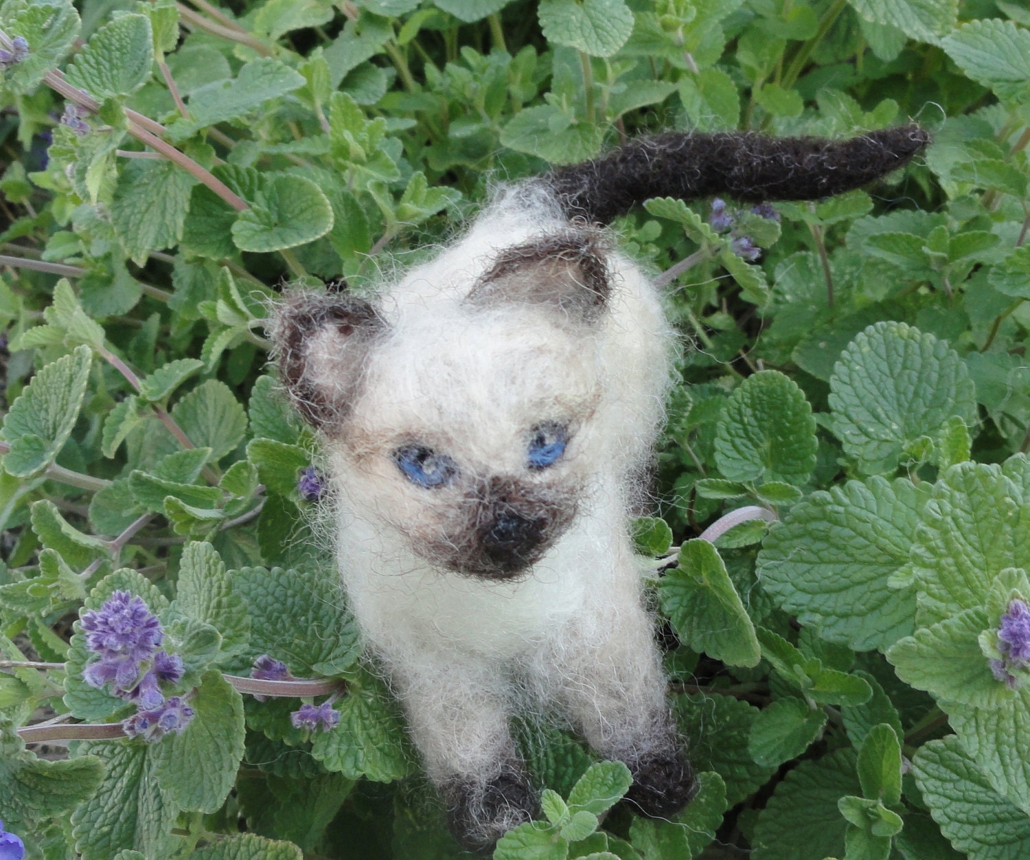 Siamese Kitten Needle Felted Wool Cat | Etsy