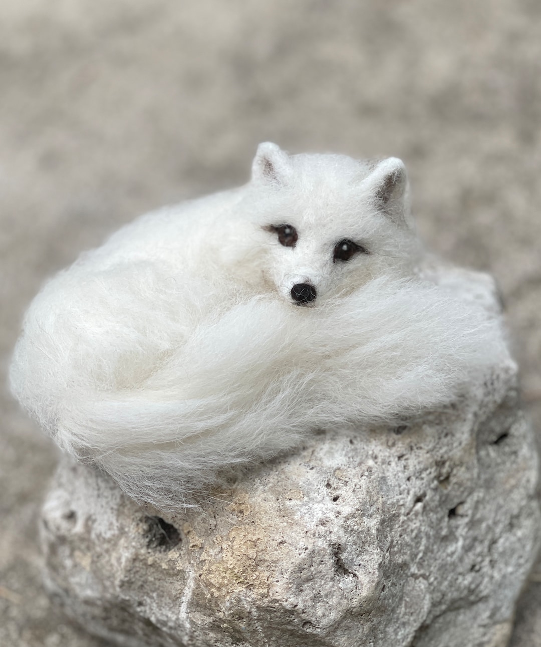 Baby Arctic Fox