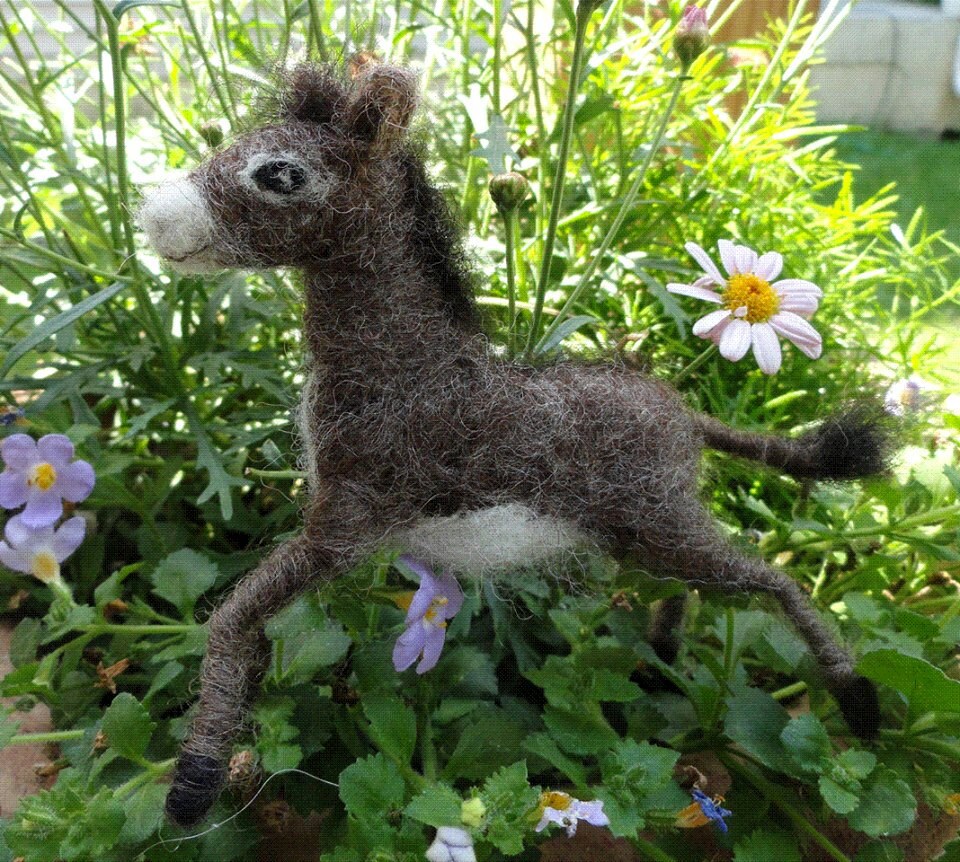 Needle Felted Baby Donkey Miniature Foal - Etsy