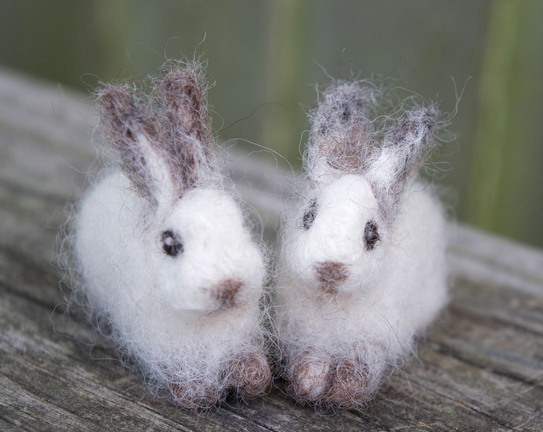 Needle Felted Arctic Hare Bunny Rabbit, Tiny Miniature - Etsy