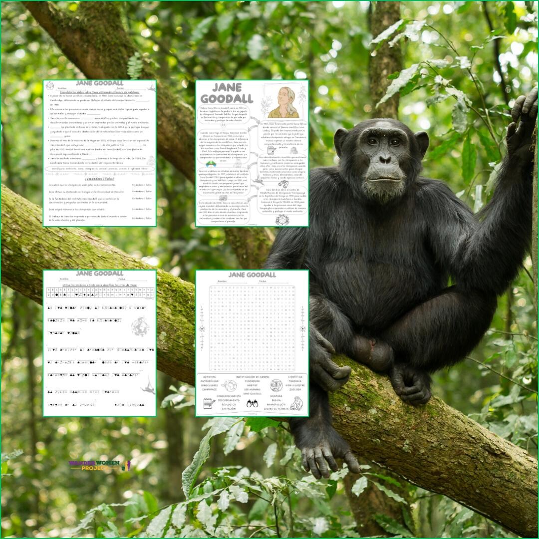 Jane Goodall - Aprende Su Historia Con Actividades Divertidas - Hojas ...