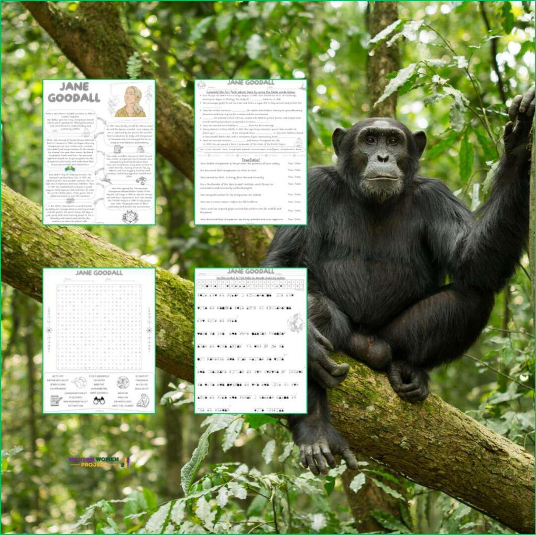 Jane Goodall - Learn Herstory With Fun Activities - Educational ...