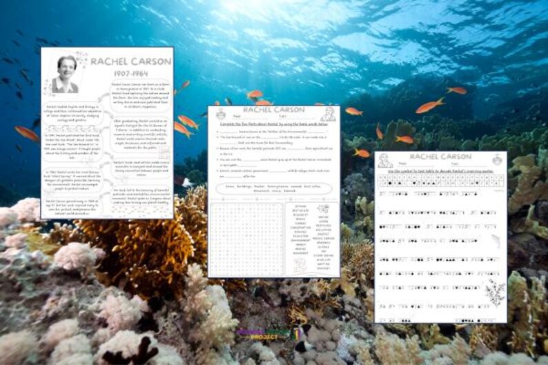 Rachel Carson - Learn Herstory With Fun Activities - Educational ...