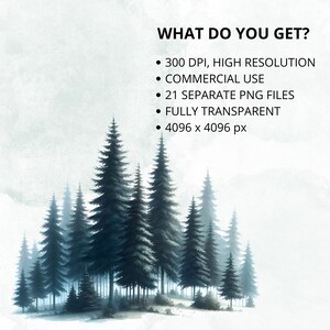 Forest Pine Tree Clipart Collection, 21 Watercolor Pngs for Instant ...