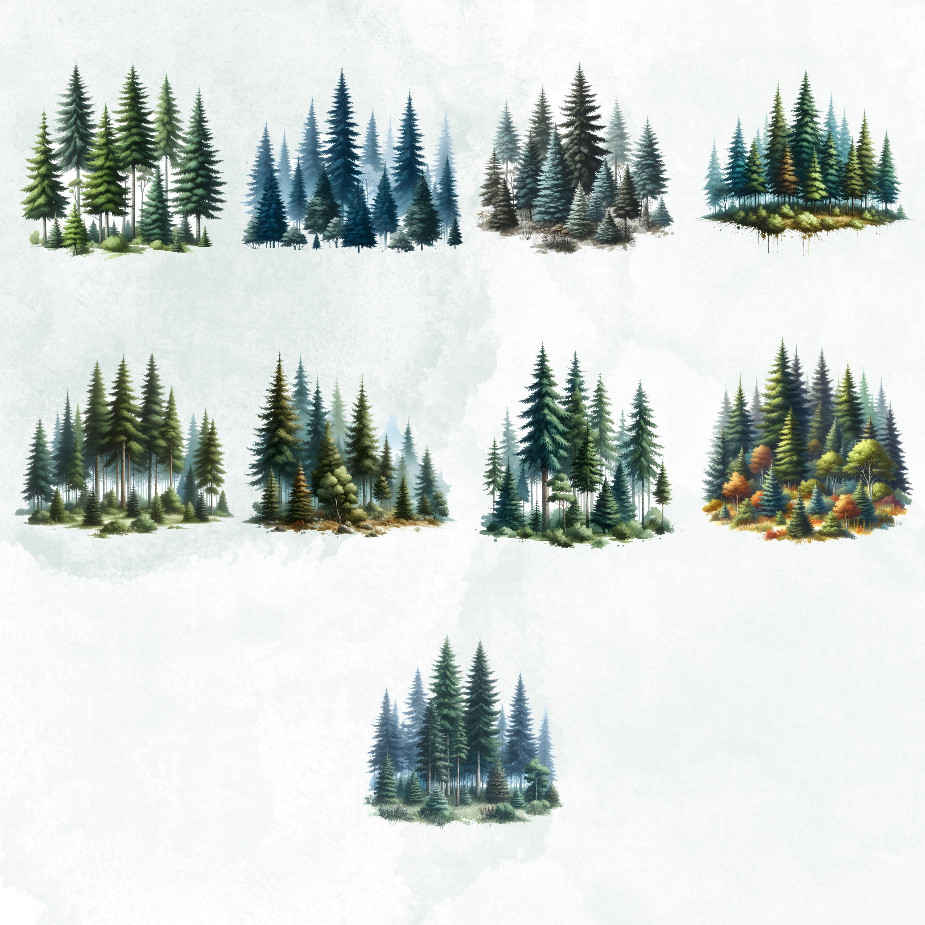 Forest Pine Tree Clipart Collection, 21 Watercolor Pngs for Instant ...