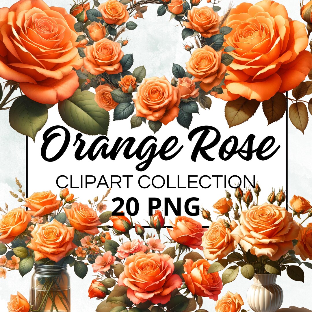 Rose Orange Watercolor Clipart Bundle, Digital Scrapbook & Craft ...