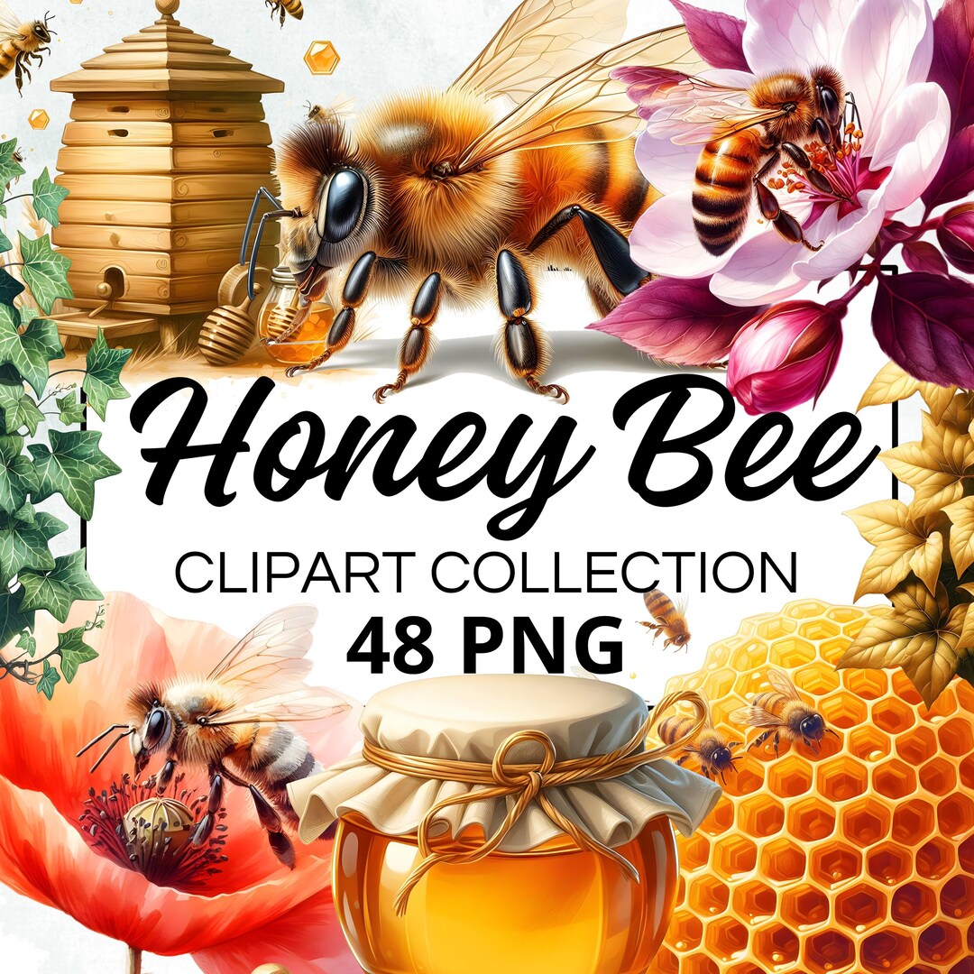 Honey Bee Watercolor Clipart Bundle, Digital Scrapbook & Craft Graphics ...